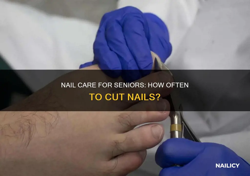 Nail Care For Seniors: How Often To Cut Nails? | Nailicy