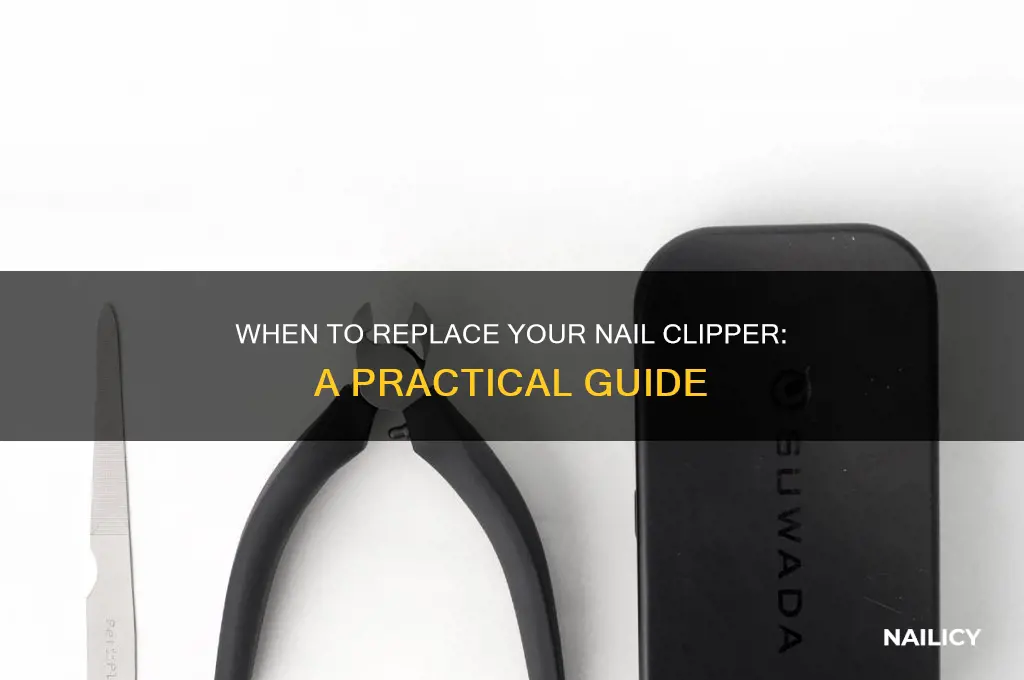 When To Replace Your Nail Clipper: A Practical Guide | Nailicy