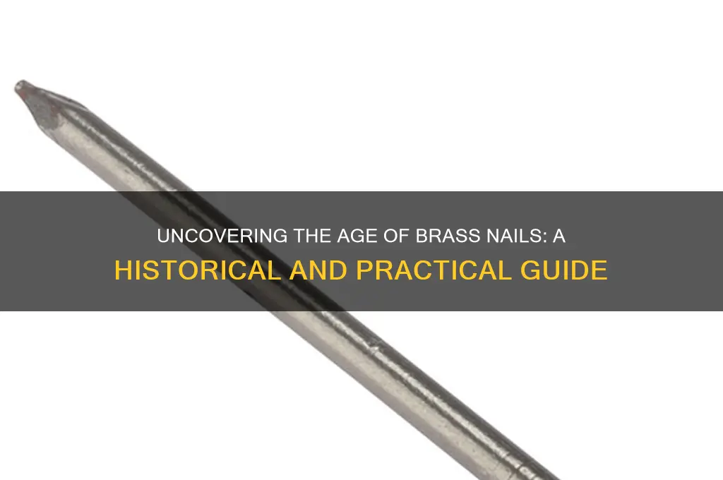 Uncovering The Age Of Brass Nails: A Historical And Practical Guide ...
