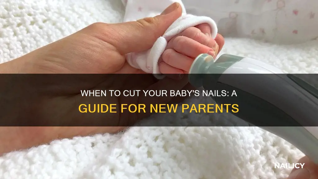 When To Cut Your Baby's Nails: A Guide For New Parents | Nailicy