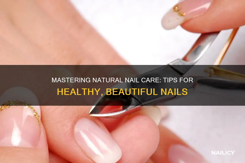 Mastering Natural Nail Care: Tips For Healthy, Beautiful Nails | Nailicy
