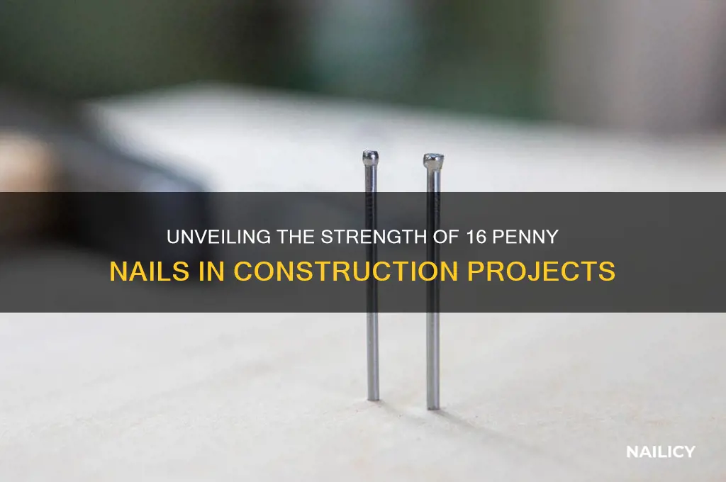 Unveiling The Strength Of 16 Penny Nails In Construction Projects | Nailicy