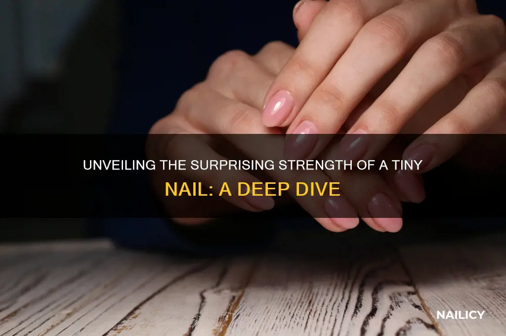 Unveiling The Surprising Strength Of A Tiny Nail: A Deep Dive | Nailicy