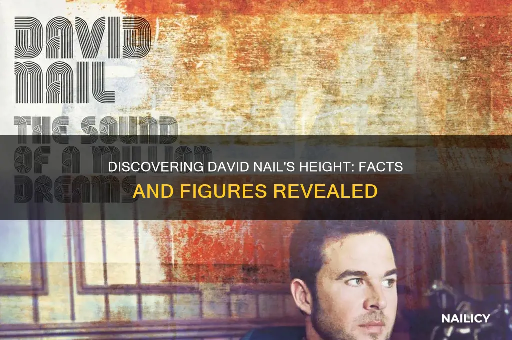 Discovering David Nail's Height: Facts And Figures Revealed | Nailicy