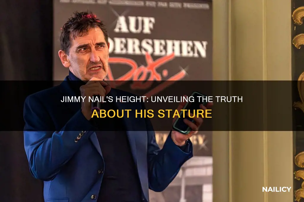 Jimmy Nail's Height: Unveiling The Truth About His Stature | Nailicy