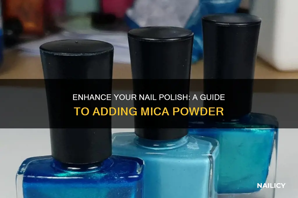Enhance Your Nail Polish: A Guide To Adding Mica Powder | Nailicy