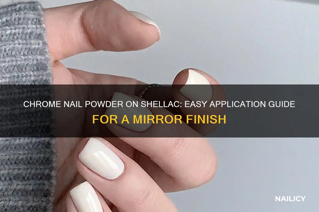 Chrome Nail Powder On Shellac: Easy Application Guide For A Mirror ...
