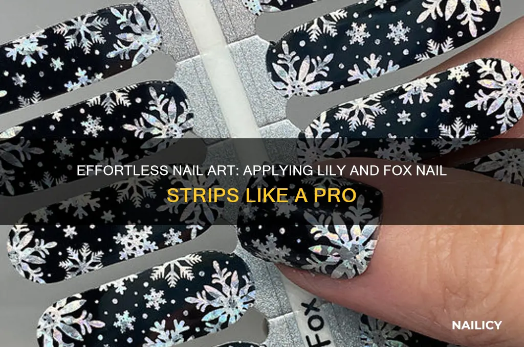 Lily And Fox How To Apply