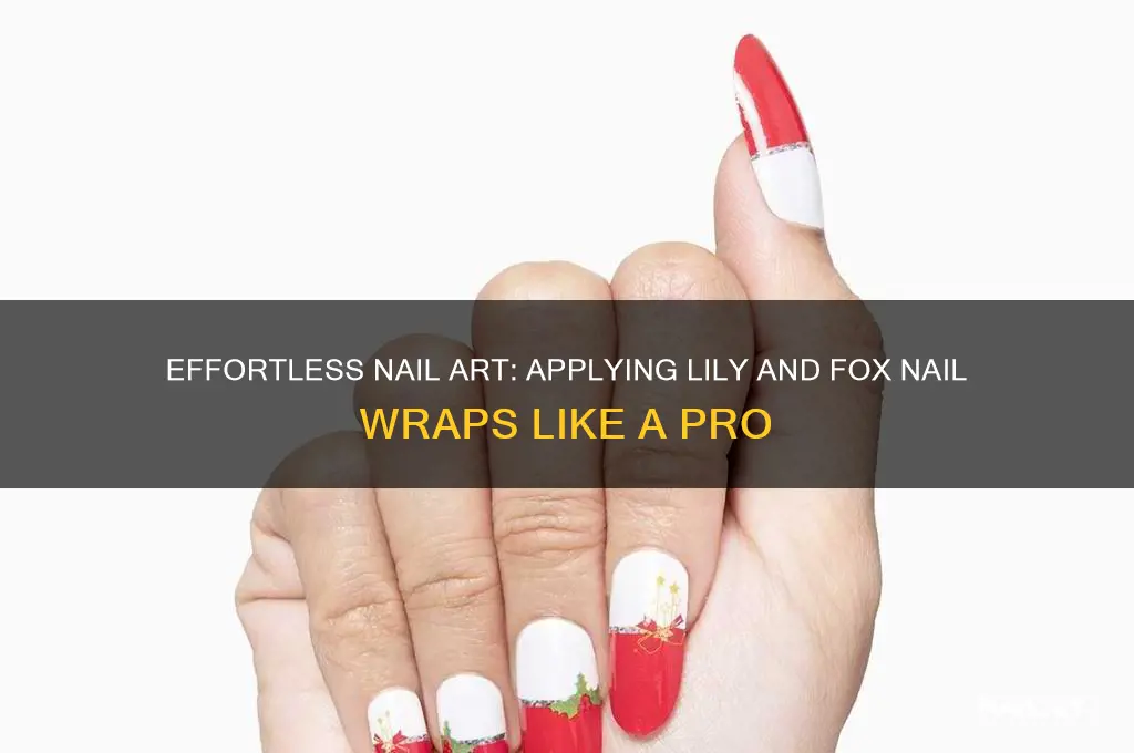Lily And Fox How To Apply