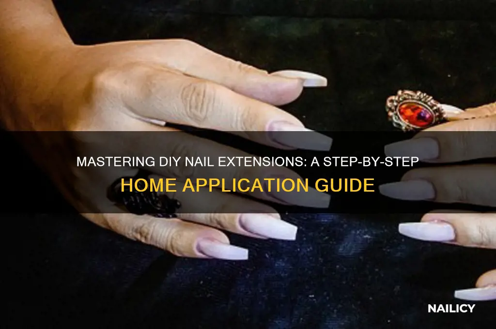 Mastering Diy Nail Extensions: A Step-By-Step Home Application Guide ...