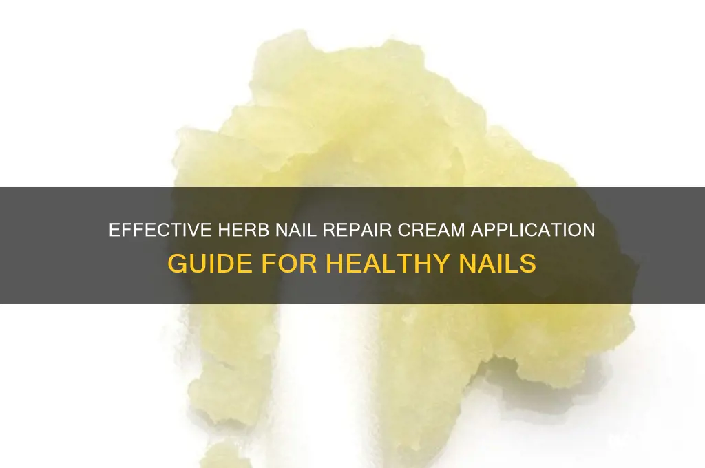 Effective Herb Nail Repair Cream Application Guide For Healthy Nails ...