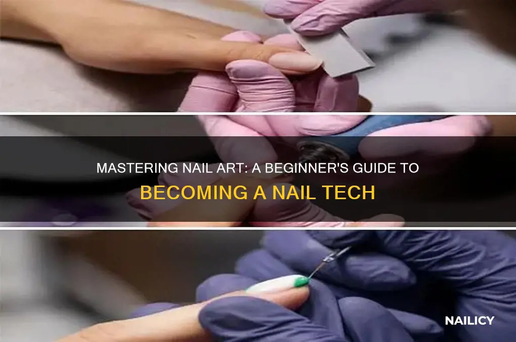 Mastering Nail Art: A Beginner's Guide To Becoming A Nail Tech | Nailicy