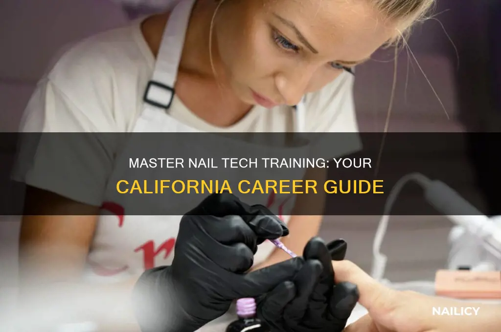 Master Nail Tech Training: Your California Career Guide | Nailicy