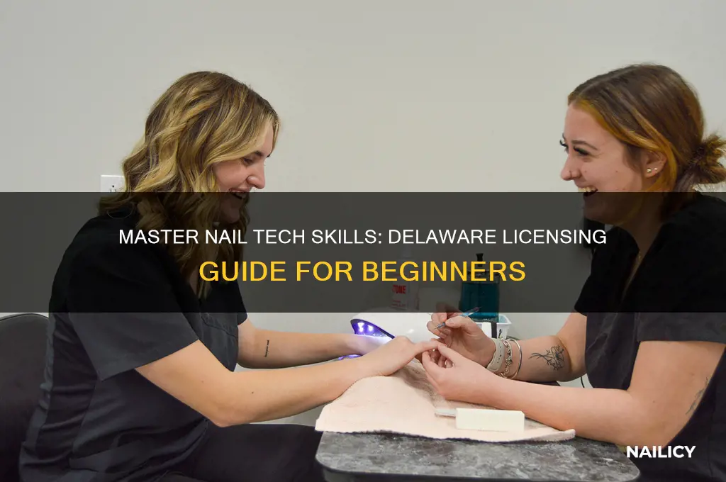 Master Nail Tech Skills: Delaware Licensing Guide For Beginners | Nailicy