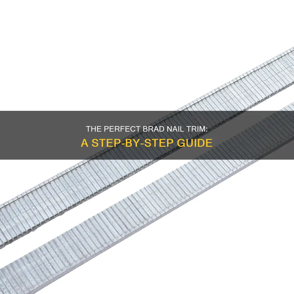 The Perfect Brad Nail Trim: A Step-By-Step Guide | Nailicy