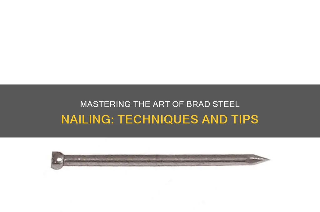 Mastering The Art Of Brad Steel Nailing: Techniques And Tips | Nailicy