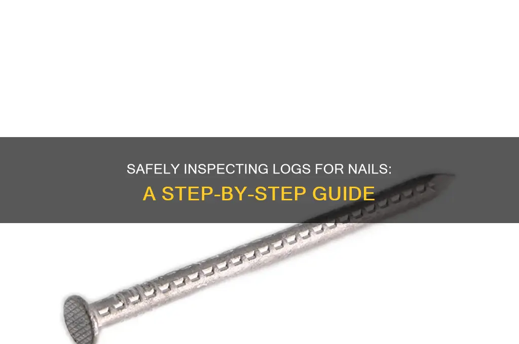 Safely Inspecting Logs For Nails: A Step-By-Step Guide | Nailicy