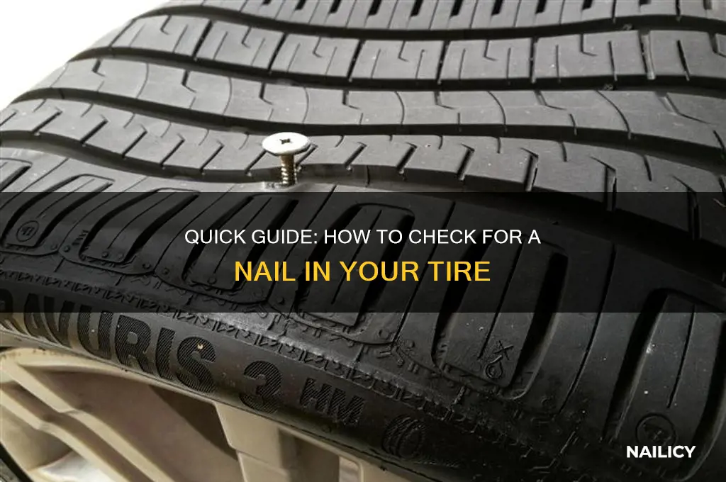 Quick Guide: How To Check For A Nail In Your Tire | Nailicy