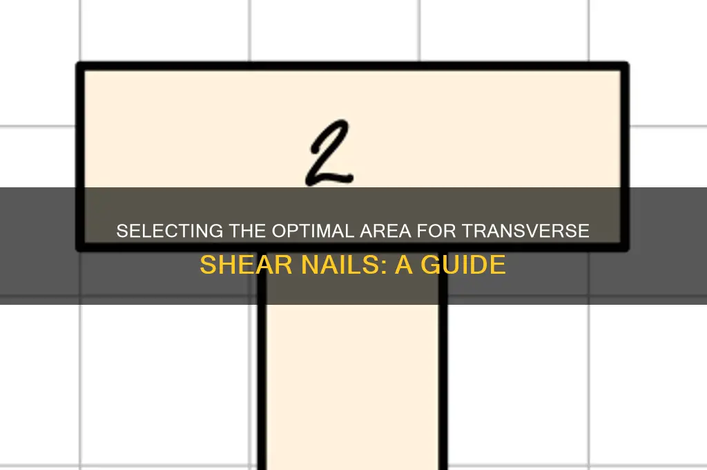 Selecting The Optimal Area For Transverse Shear Nails: A Guide | Nailicy
