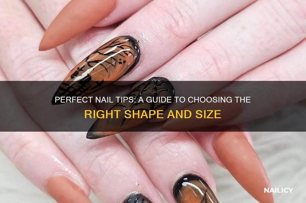 Perfect Nail Tips: A Guide To Choosing The Right Shape And Size | Nailicy