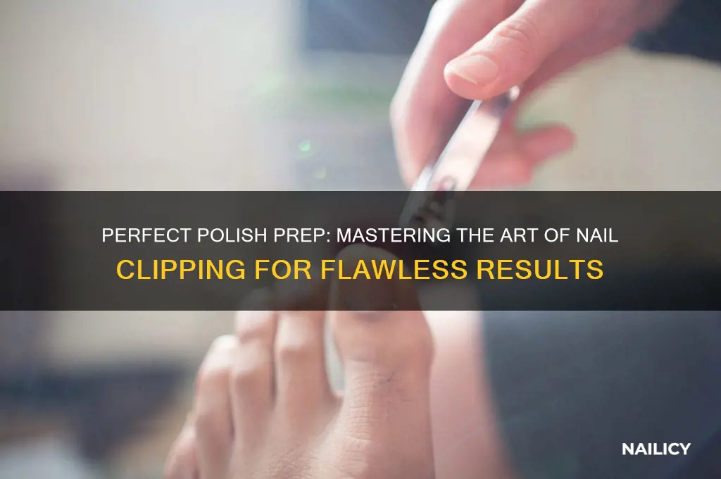 Perfect Polish Prep: Mastering The Art Of Nail Clipping For Flawless ...
