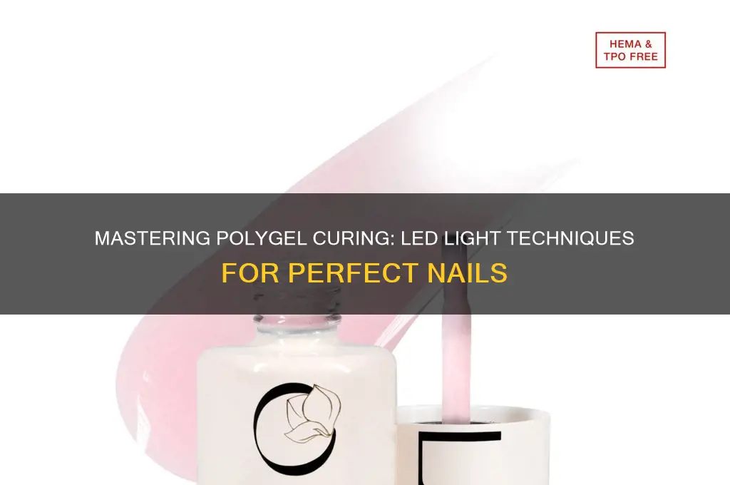 Mastering Polygel Curing: Led Light Techniques For Perfect Nails | Nailicy