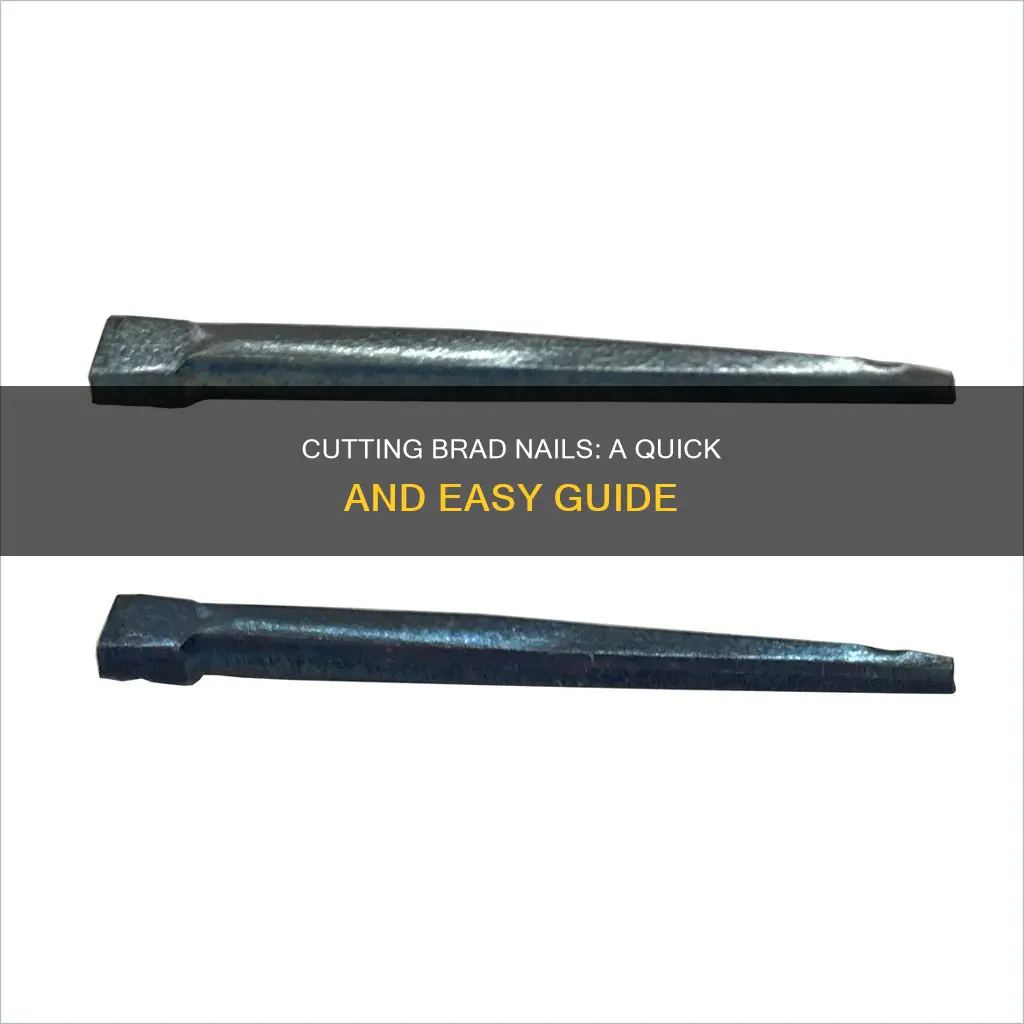 Cutting Brad Nails: A Quick And Easy Guide | Nailicy