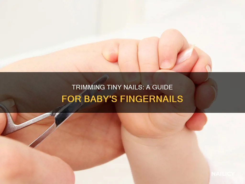 Trimming Tiny Nails: A Guide For Baby's Fingernails | Nailicy