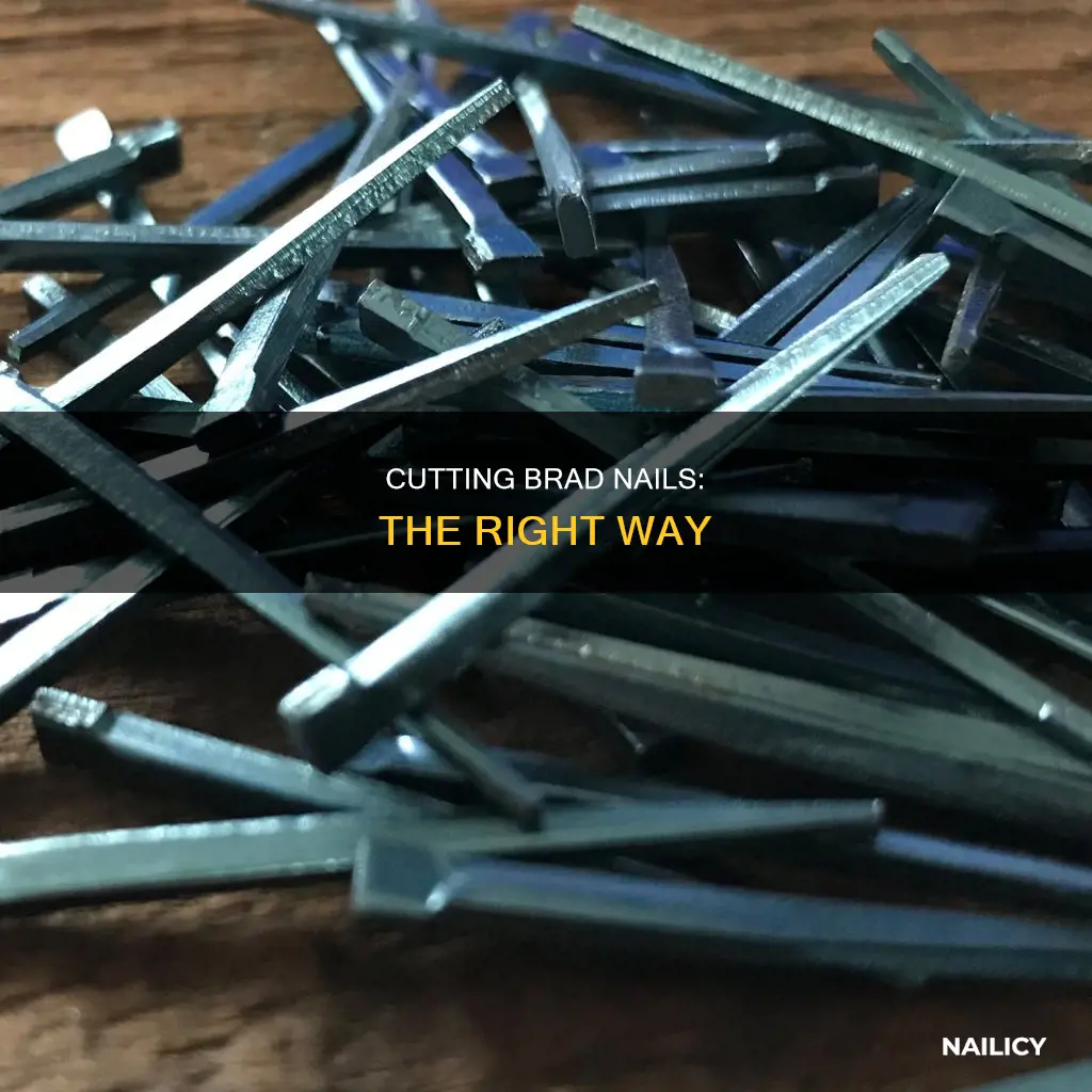 Cutting Brad Nails: The Right Way | Nailicy