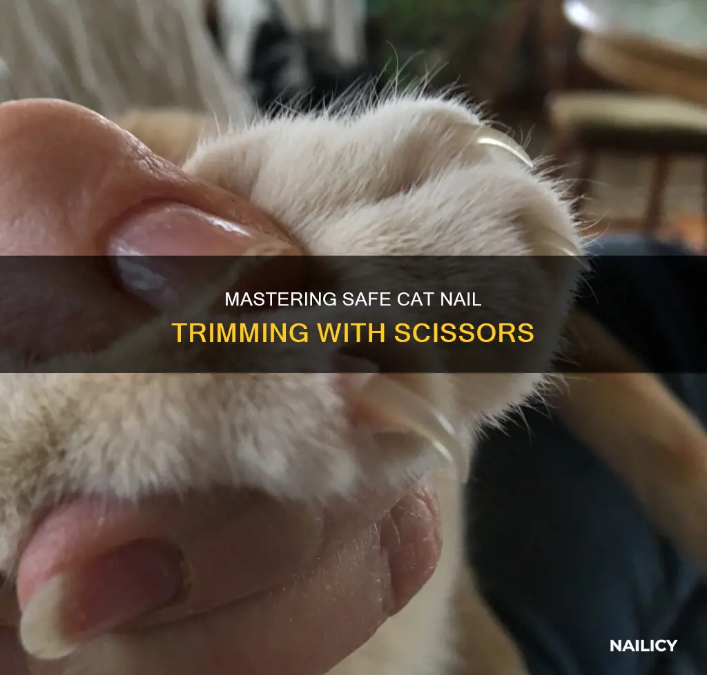 Mastering Safe Cat Nail Trimming With Scissors | Nailicy