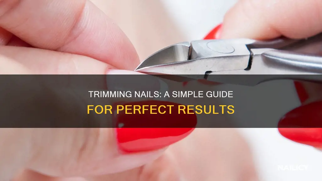 Trimming Nails: A Simple Guide For Perfect Results | Nailicy