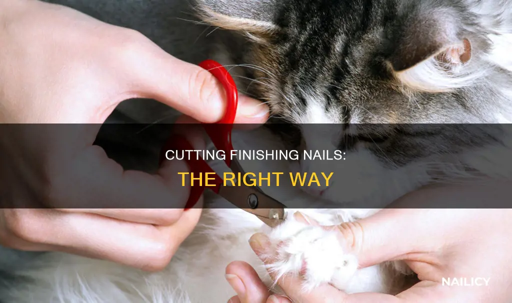 Cutting Finishing Nails: The Right Way | Nailicy