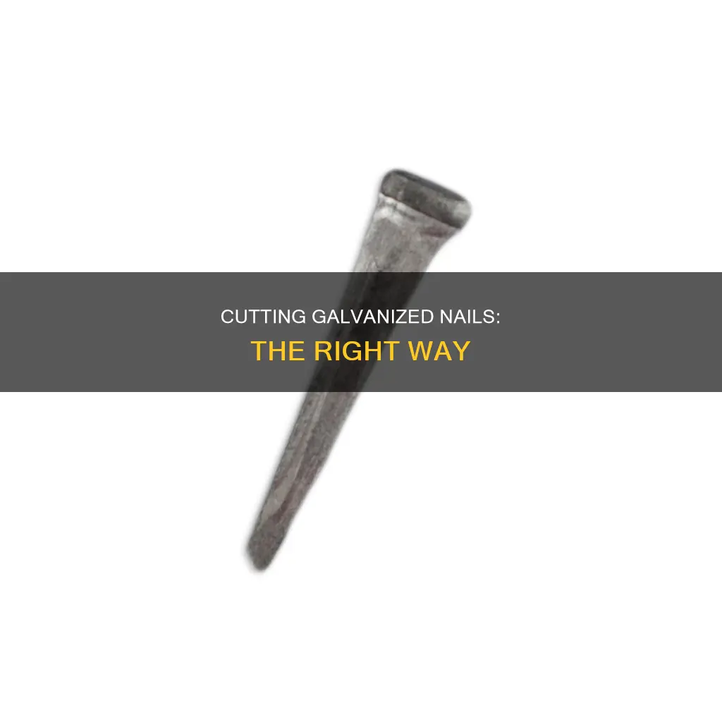 Cutting Galvanized Nails: The Right Way | Nailicy