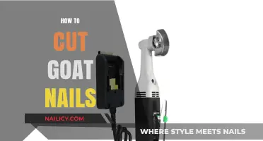 Perfect Fingernail Cutting: A Step-By-Step Guide | Nailicy