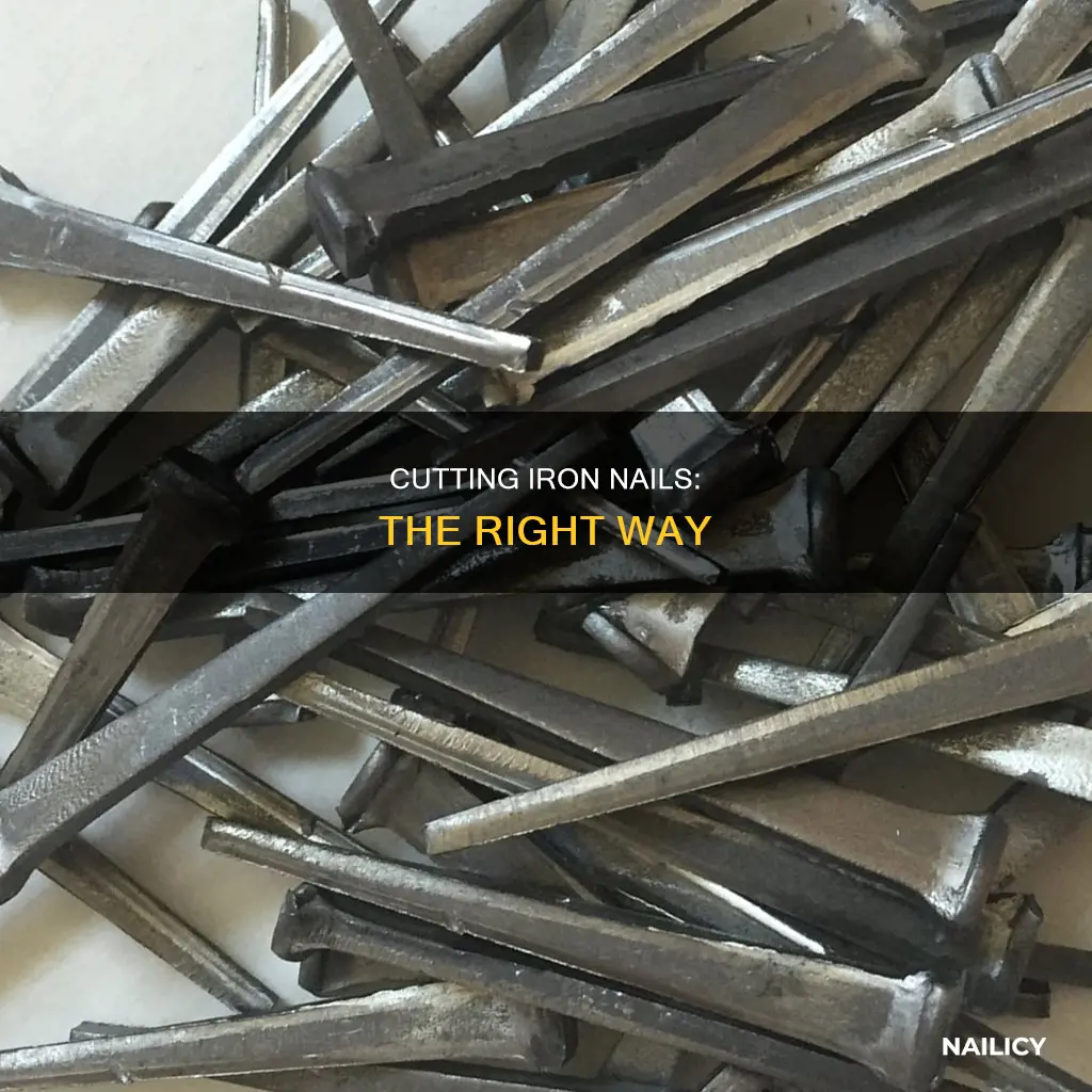 Cutting Iron Nails: The Right Way | Nailicy
