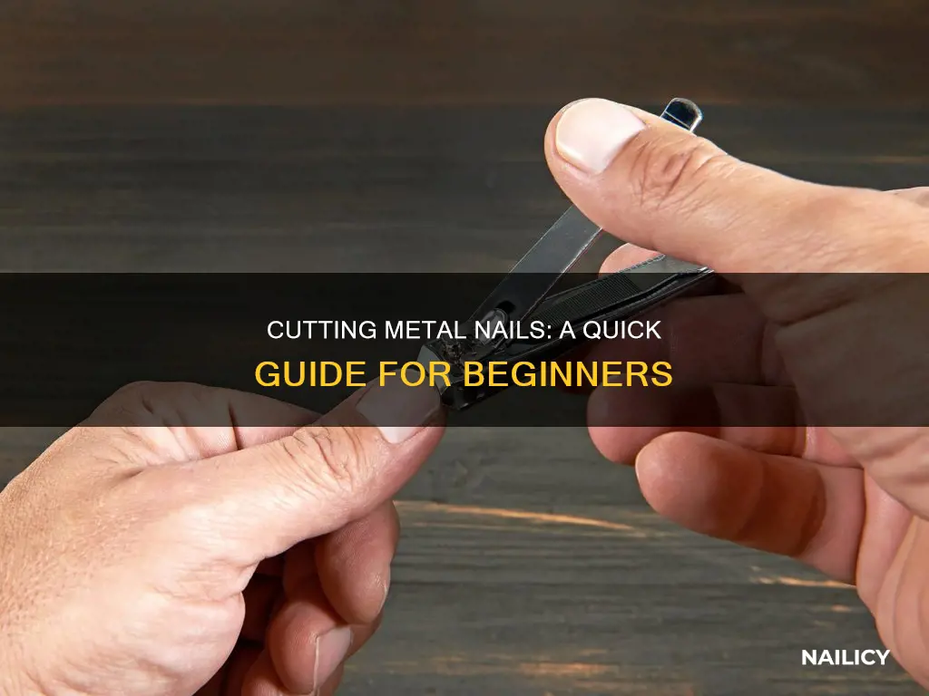 Cutting Metal Nails: A Quick Guide For Beginners | Nailicy