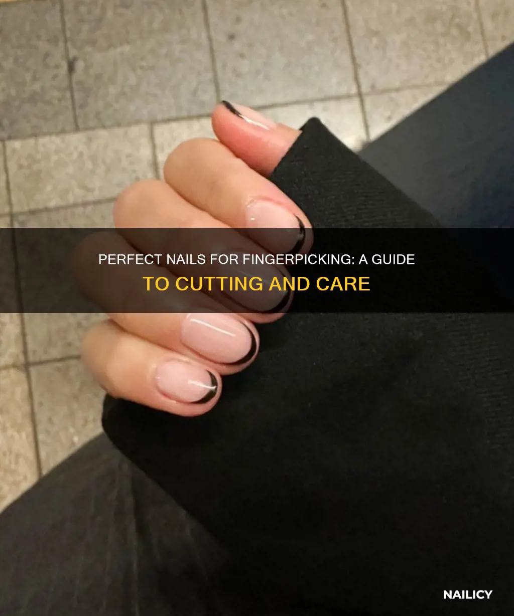 Perfect Nails For Fingerpicking: A Guide To Cutting And Care | Nailicy