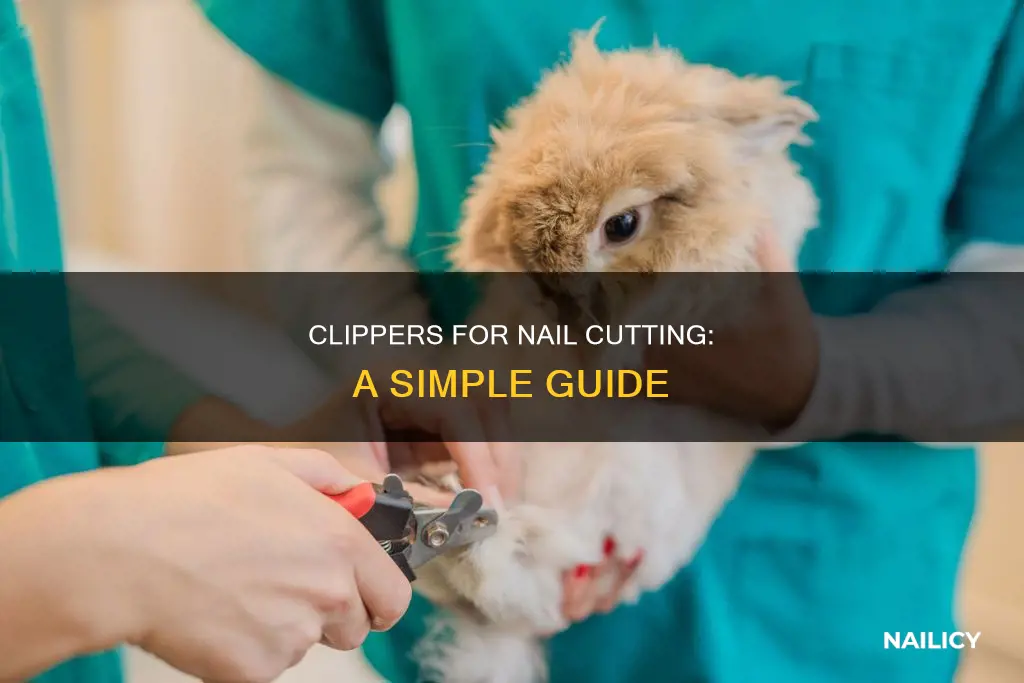 Clippers For Nail Cutting: A Simple Guide | Nailicy