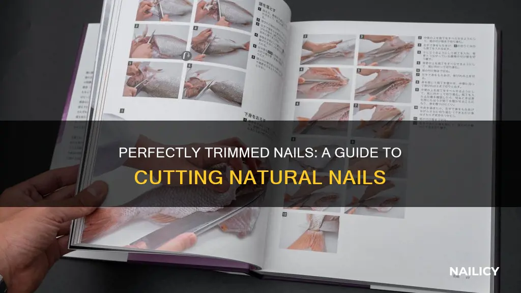 Perfectly Trimmed Nails: A Guide To Cutting Natural Nails | Nailicy