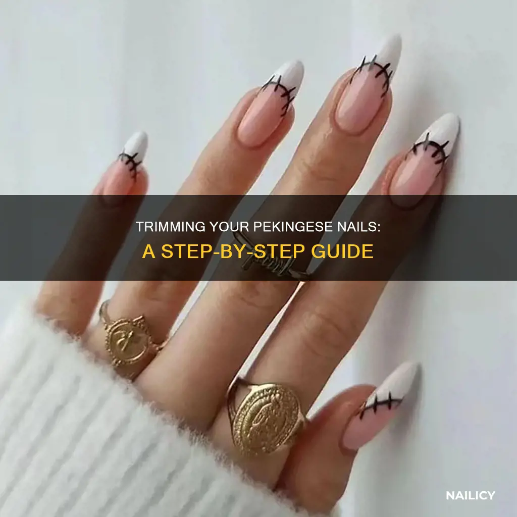Trimming Your Pekingese Nails: A Step-By-Step Guide | Nailicy