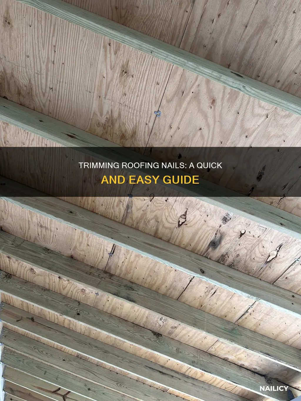 Trimming Roofing Nails: A Quick And Easy Guide | Nailicy