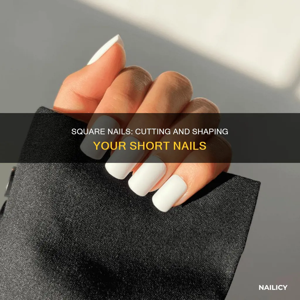 Square Nails: Cutting And Shaping Your Short Nails | Nailicy
