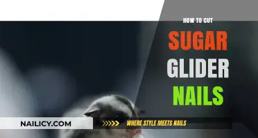 Trimming Your Nails: A Step-By-Step Guide | Nailicy
