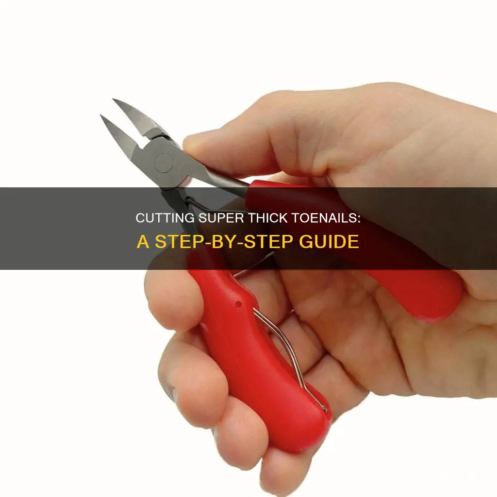 Cutting Super Thick Toenails: A Step-By-Step Guide | Nailicy