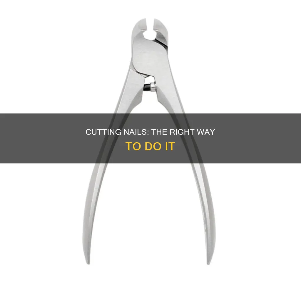 Cutting Nails: The Right Way To Do It | Nailicy