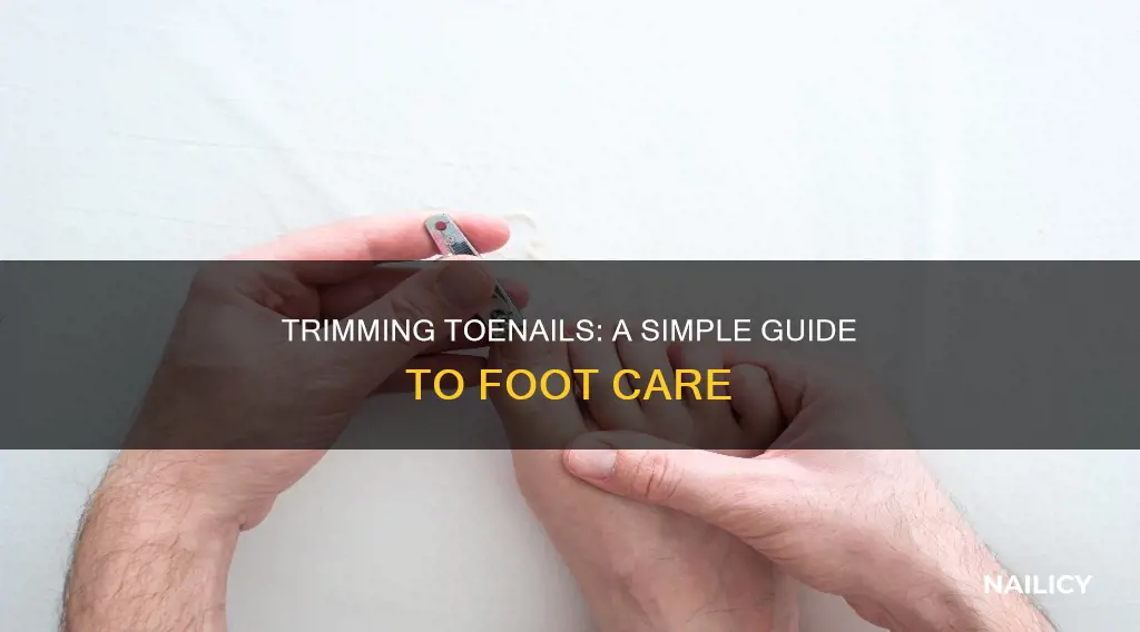 Trimming Toenails: A Simple Guide To Foot Care | Nailicy