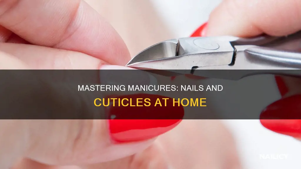 Mastering Manicures: Nails And Cuticles At Home | Nailicy