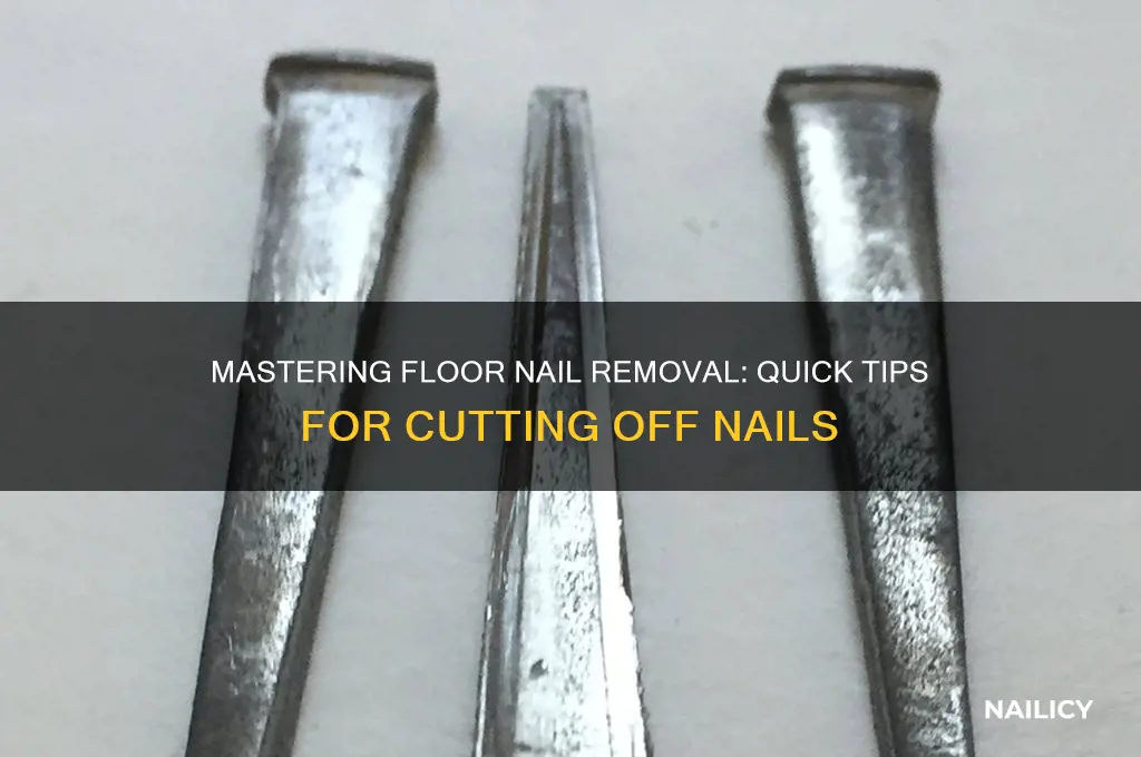 Mastering Floor Nail Removal: Quick Tips For Cutting Off Nails | Nailicy