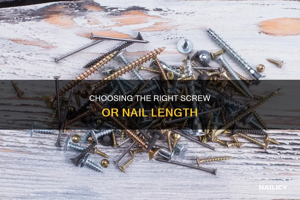 Choosing The Right Screw Or Nail Length | Nailicy