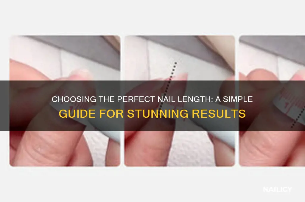 Choosing The Perfect Nail Length: A Simple Guide For Stunning Results ...
